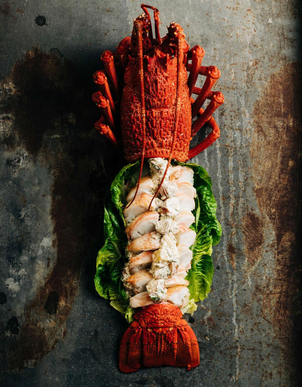 Analiese Gregory's Crayfish Cocktail – Food For Everyone